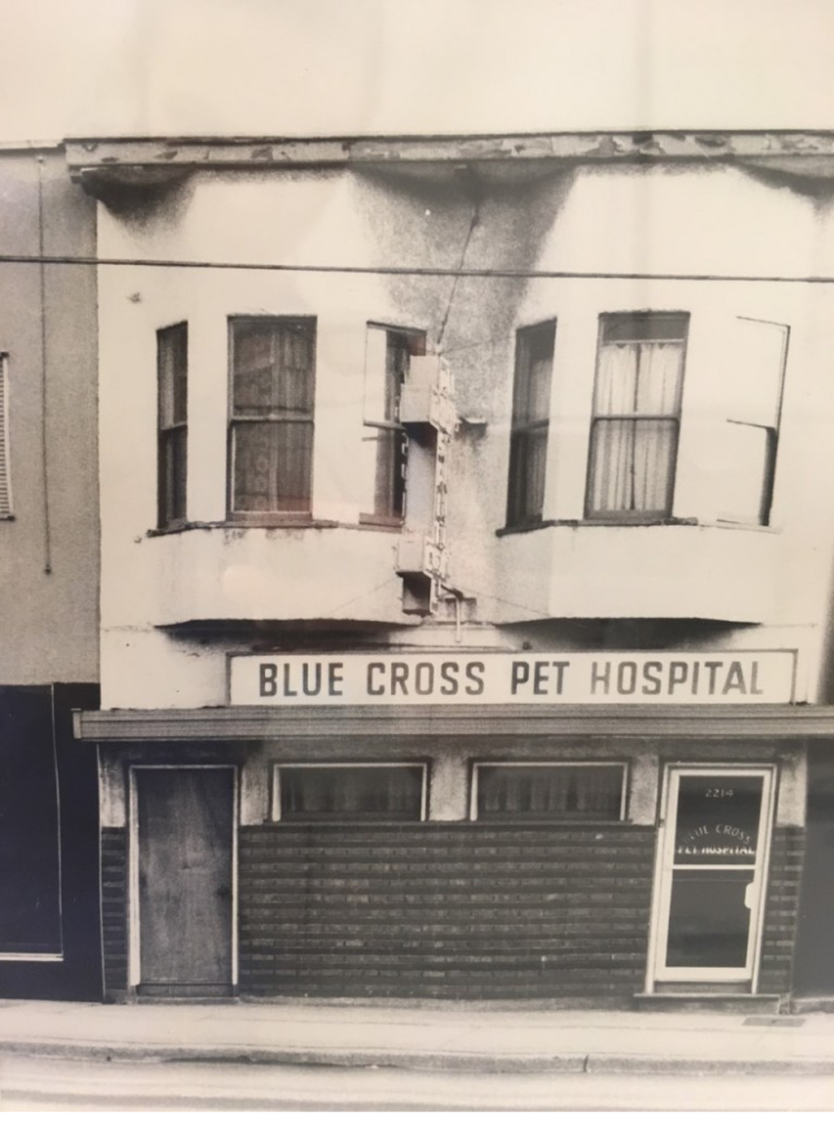 Our History – Blue Cross Pet Hospital